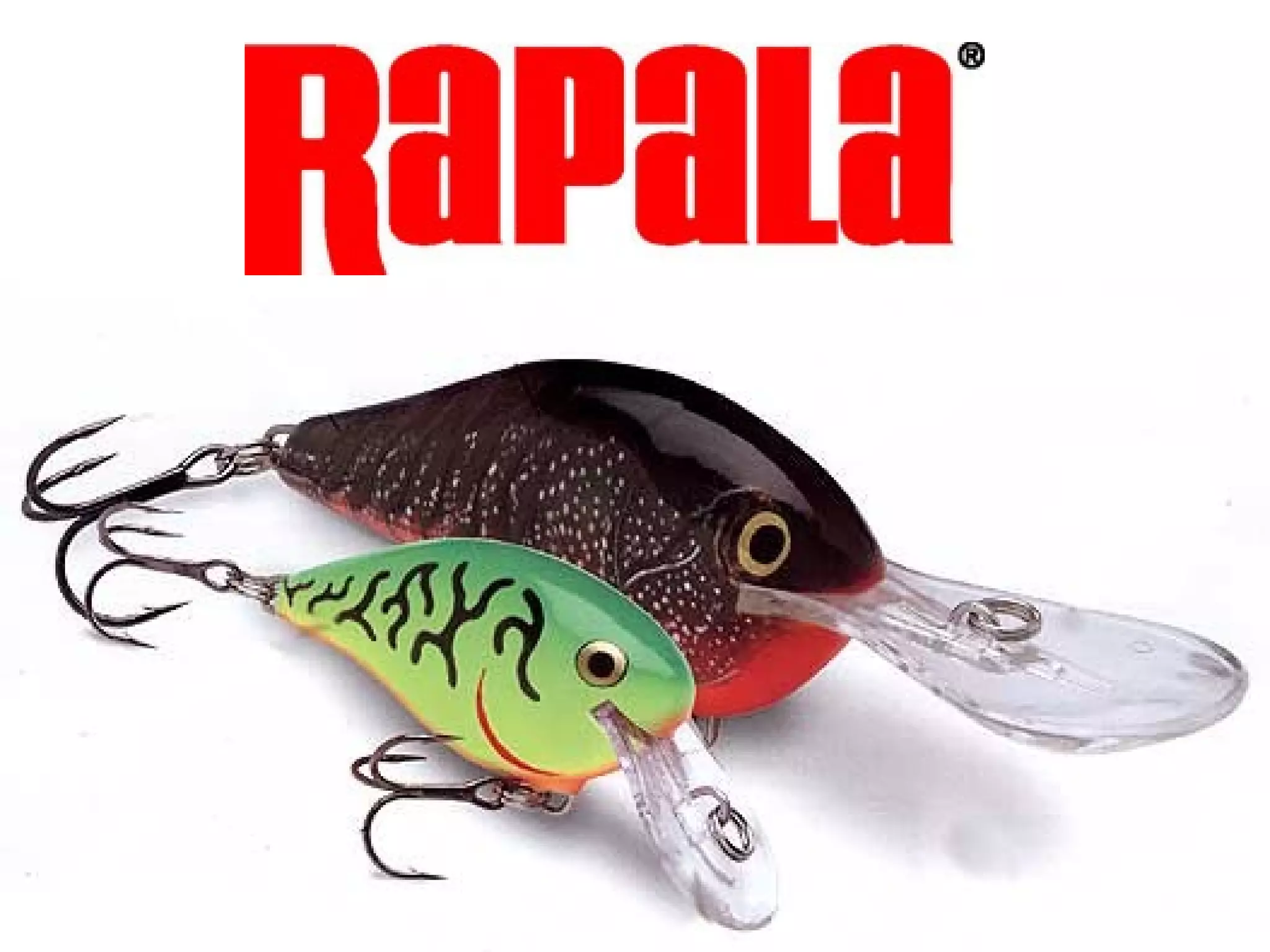 Professional Identity | PPT