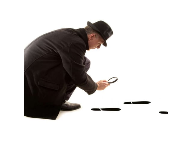 Professional Investigator Malaysia | PPTX