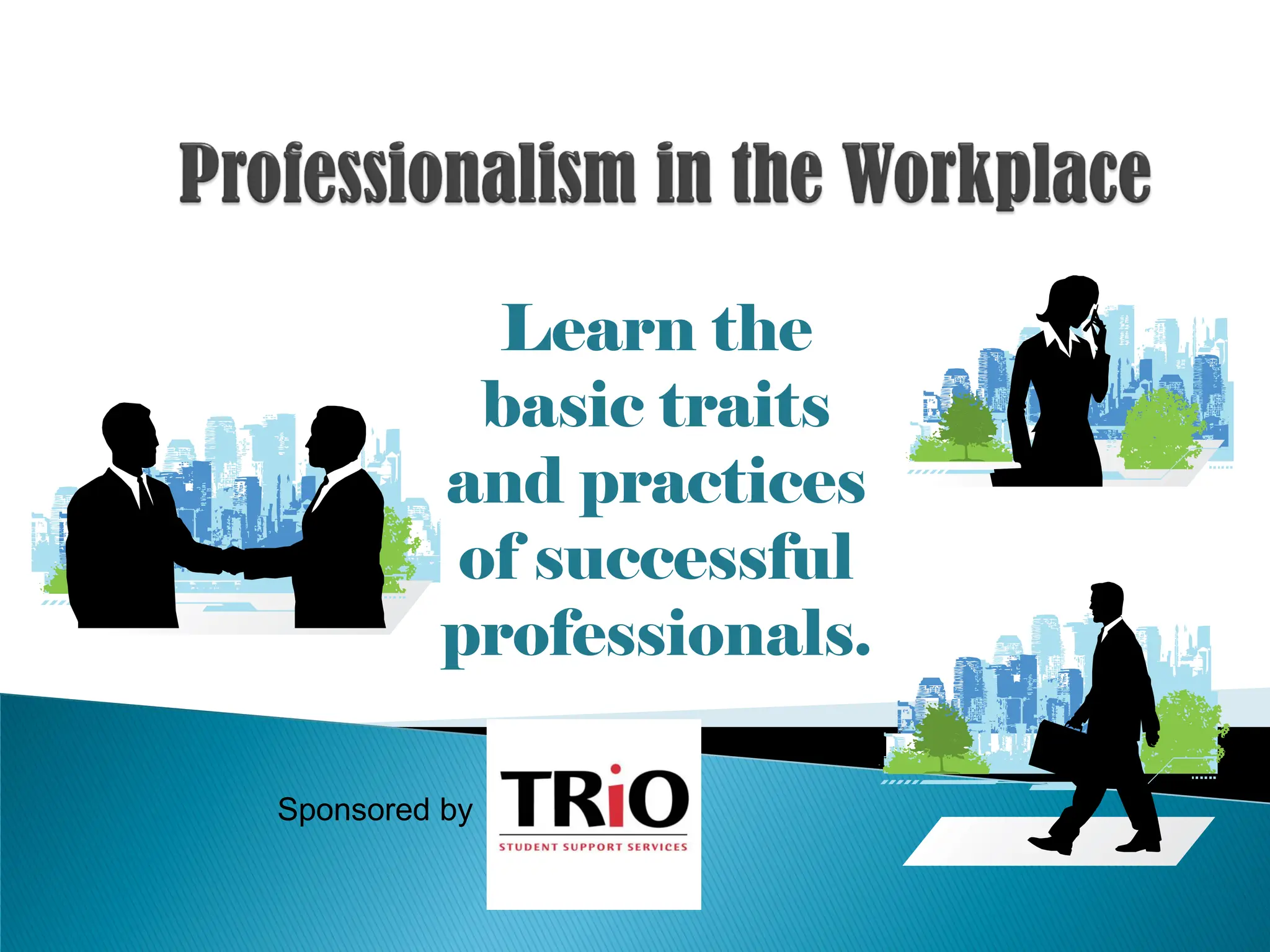 Professionalism in the Workplace online.pdf