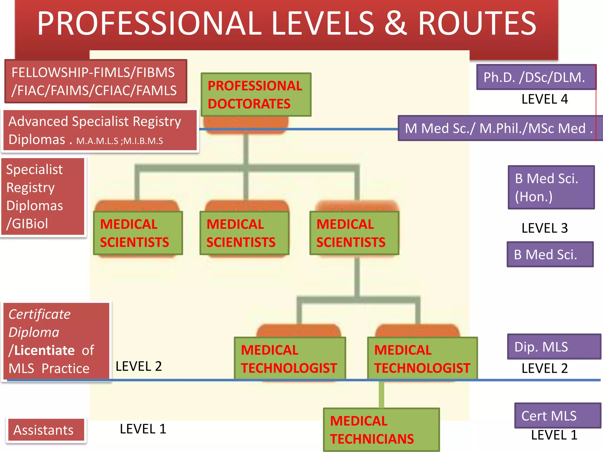 Professionalism in medical_science_-technology_sejojo_mamohato[1] | PDF