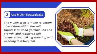 Professional Landscaping for Beautiful Garden | PDF
