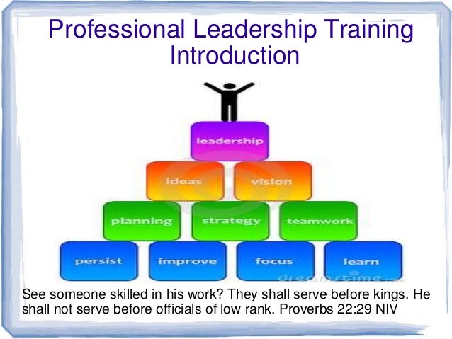 Professional leadership training introduction (section 1)
