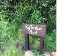 Protocols for Professional Learning Conversations | PPTX