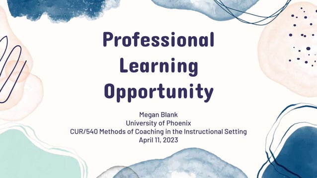 Professional Learning Opportunity .pptx