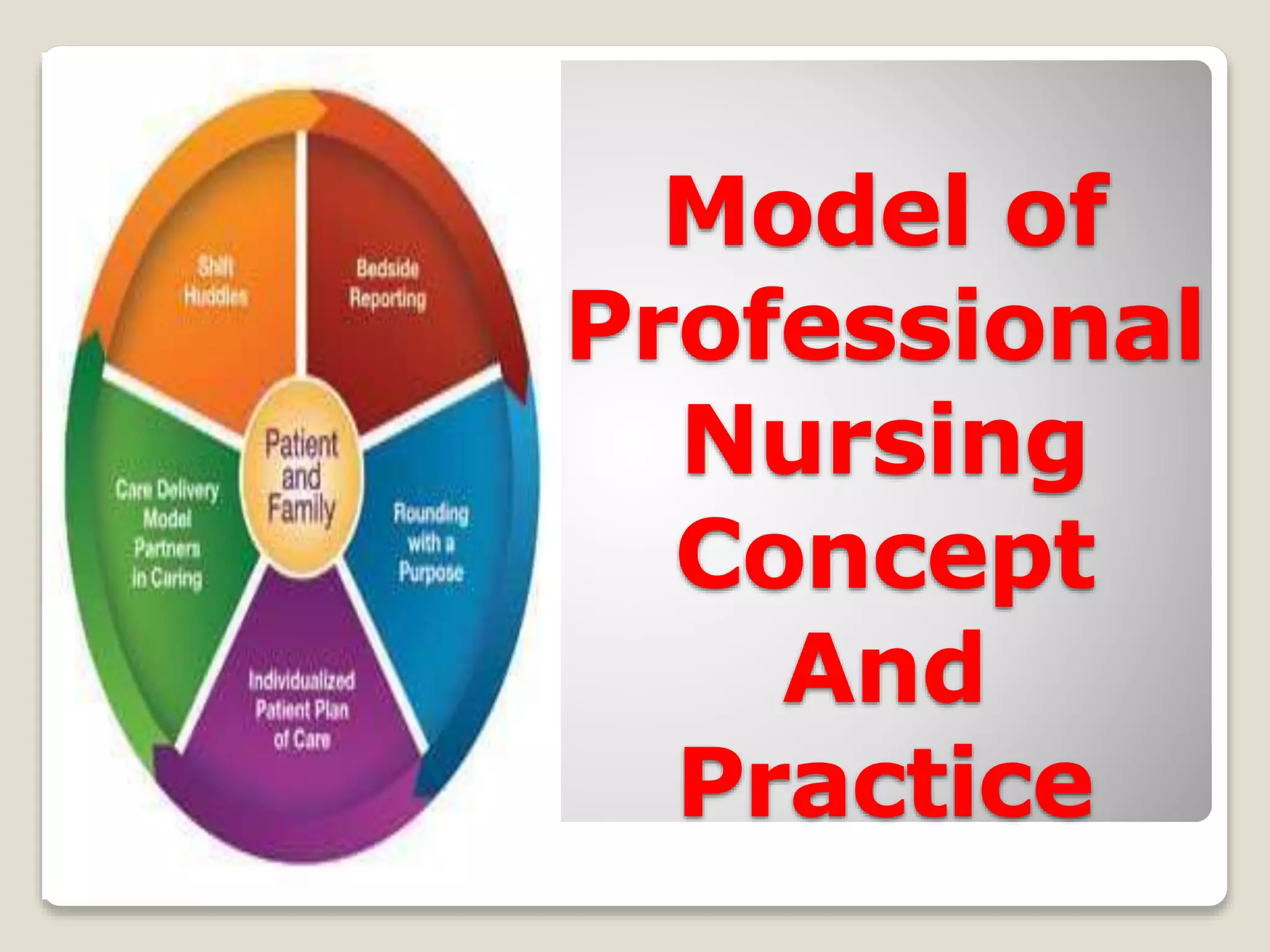 Professional nursing concepts and practice | PPTX