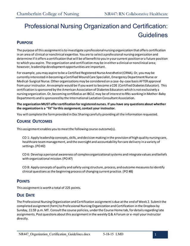 Professional nursing organization | PDF