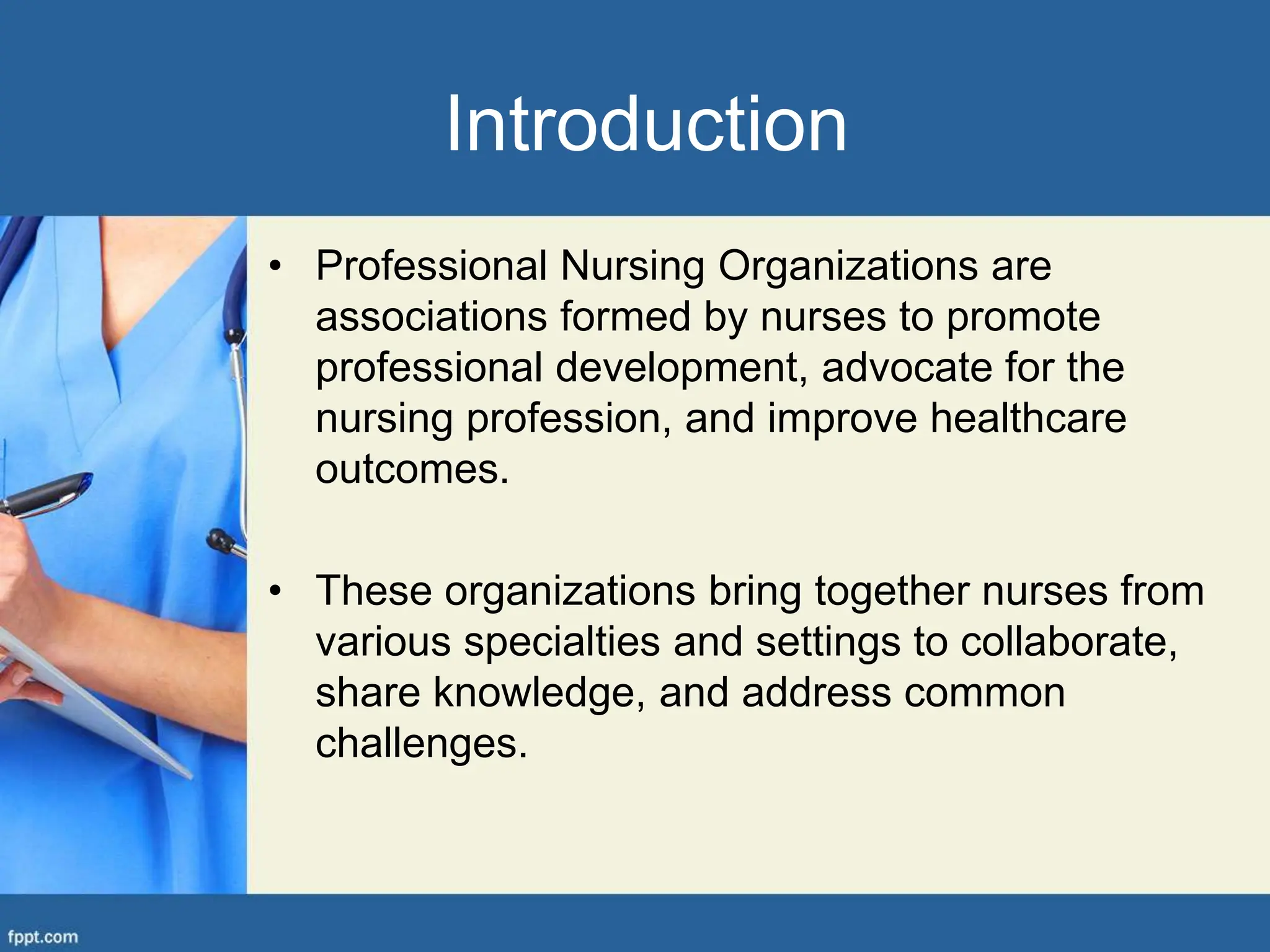 Professional Nursing Organizations ppptt | PPT