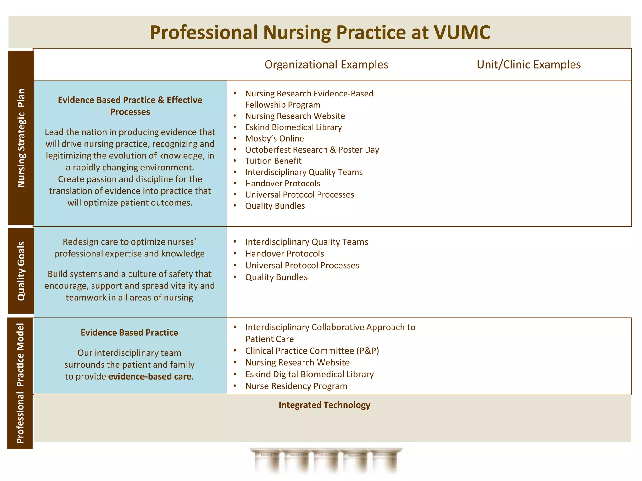 Professional Nursing Practice at VUMC 06-07-11 cw.pptx
