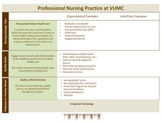 Professional Nursing Practice at VUMC 06-07-11 cw.pptx