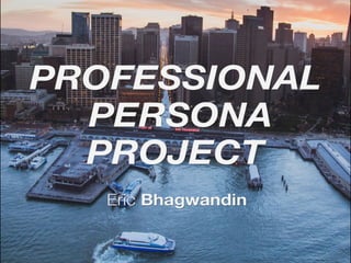 Professional Persona Project | PPT