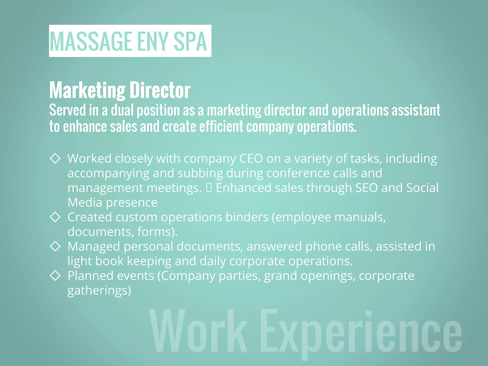 Digital Marketing Director Visual Portfolio | PPTX