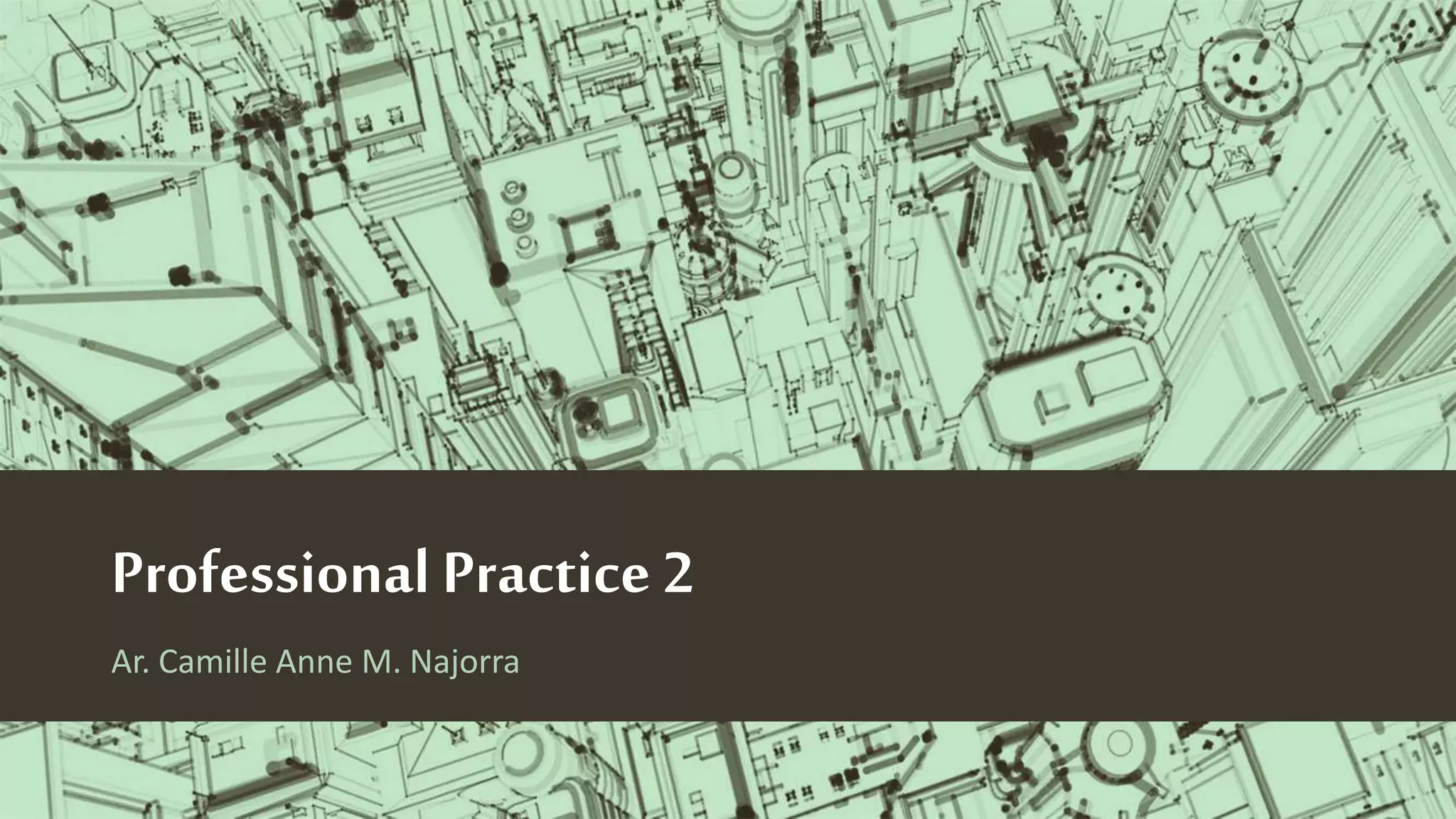 Professional Practice 2 - Copy.pptx