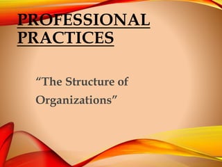 Professional Practices Week2.pptx