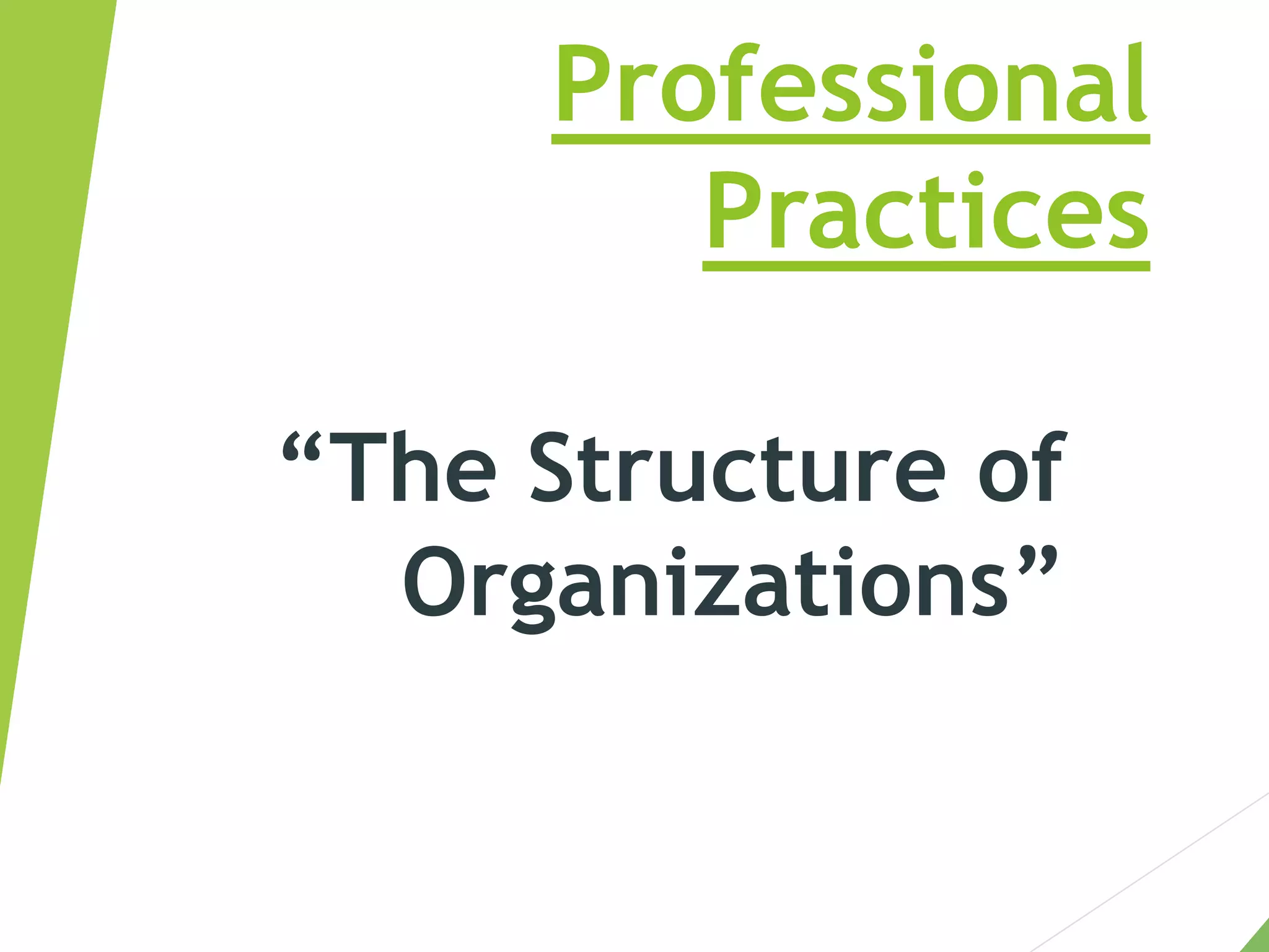 Professional Practices Week3aa.pptx