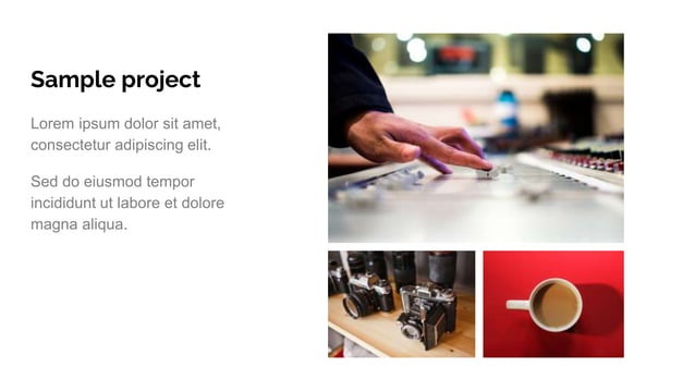 Professional profile.pptx