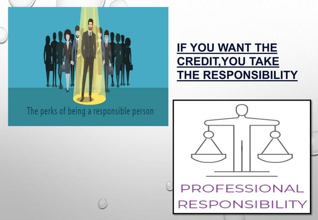 Professional responsibility & accountability.pptx