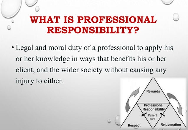 Professional responsibility & accountability.pptx