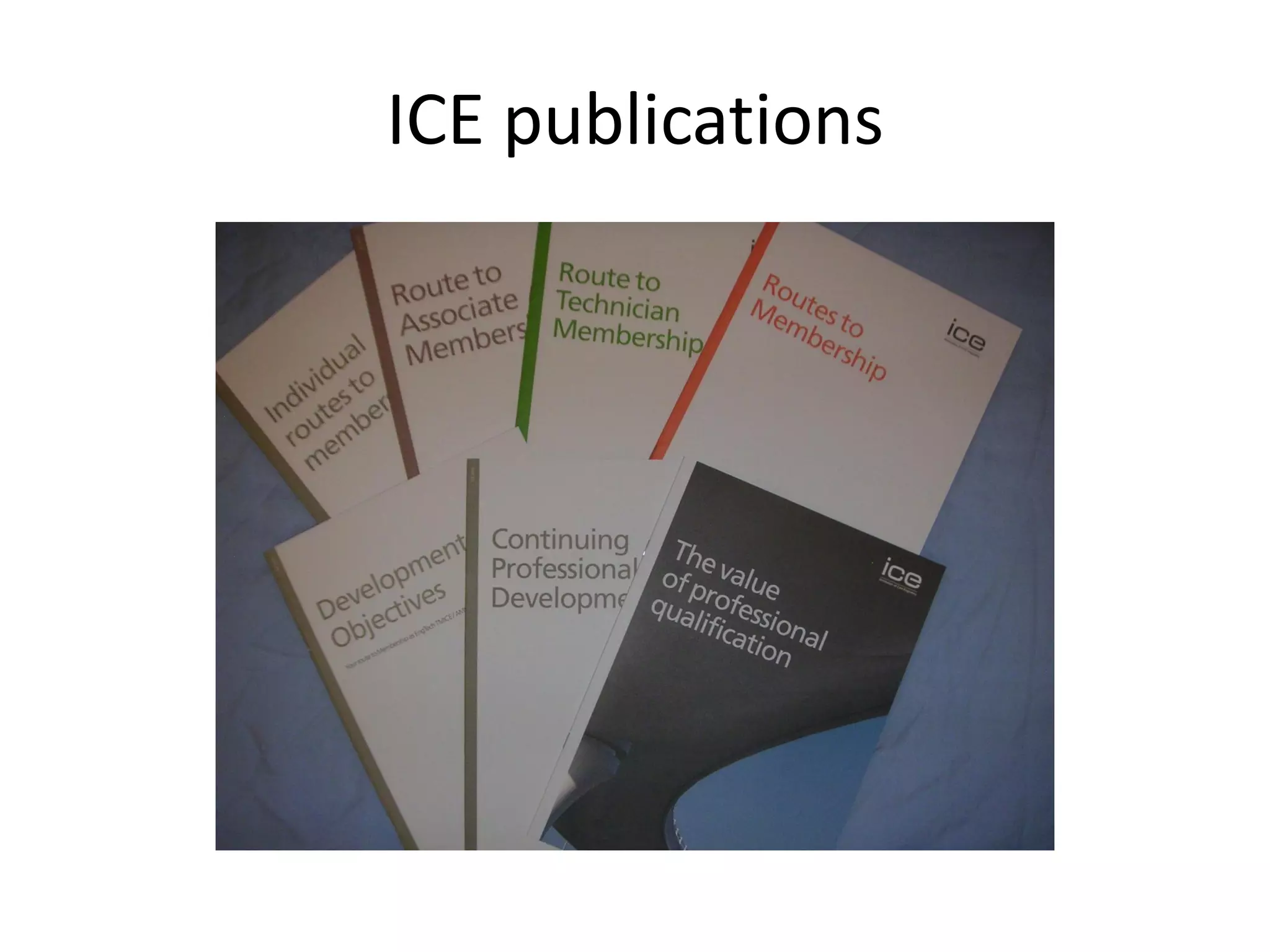 ICE Professional Review | PDF