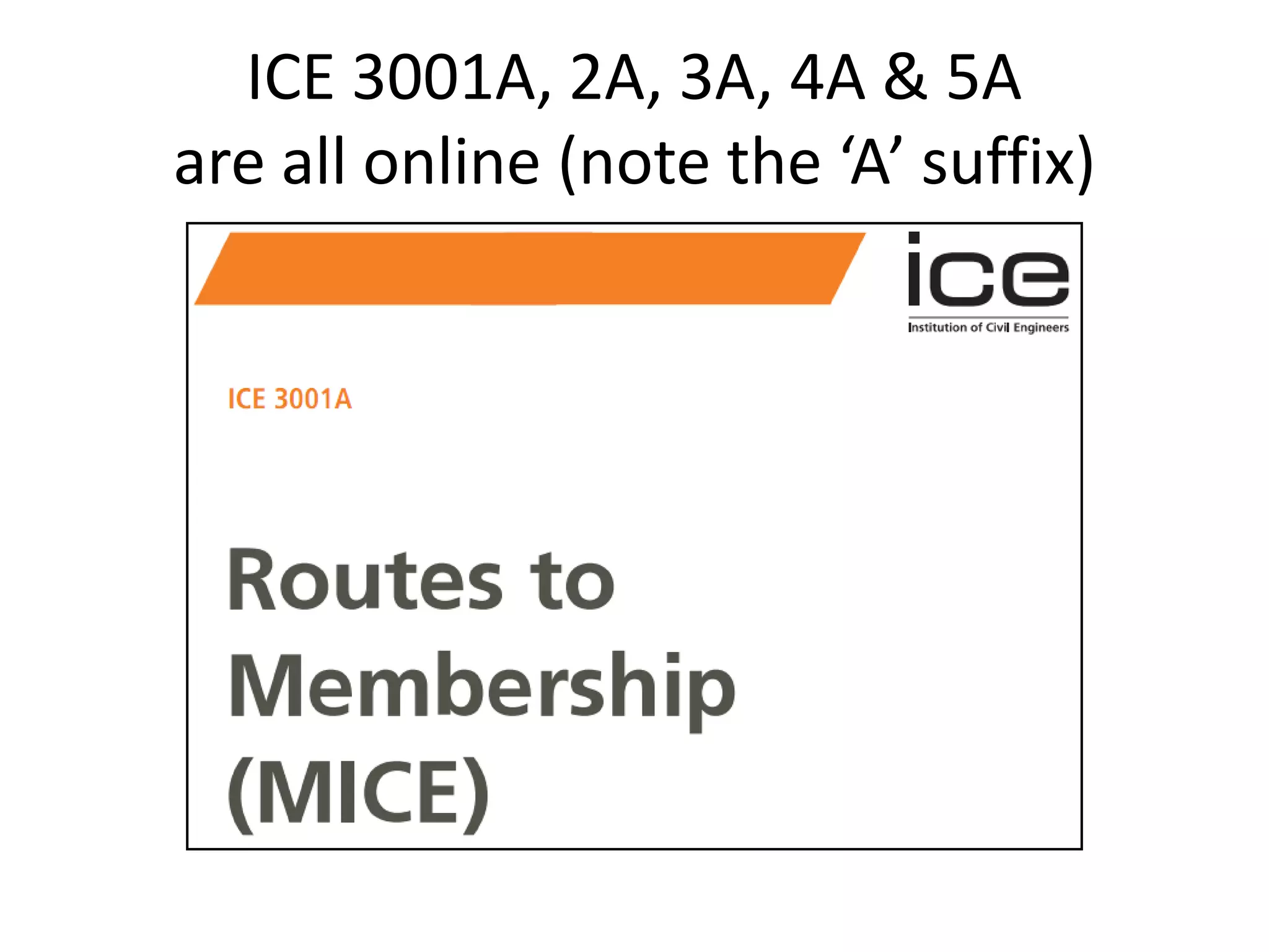 ICE Professional Review | PDF