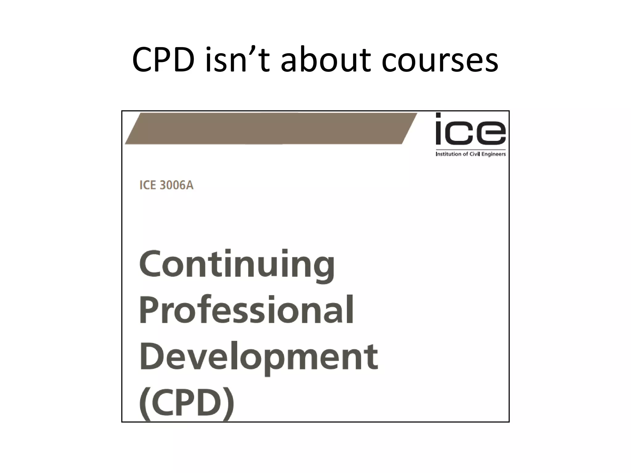 ICE Professional Review | PDF
