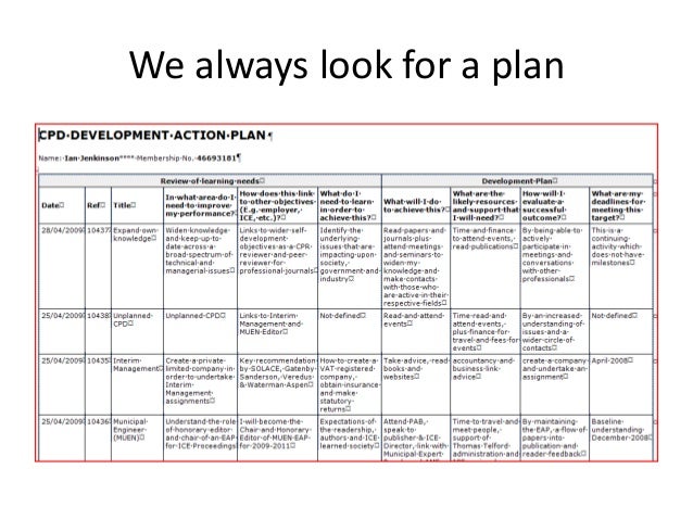 ICE Professional Review