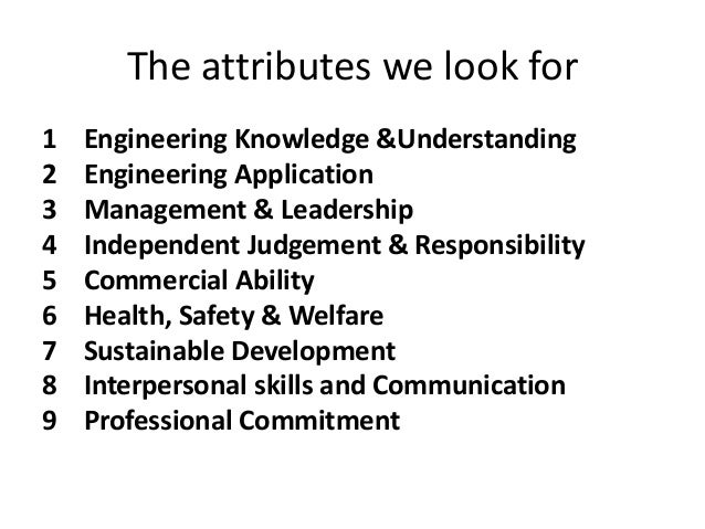 ICE Professional Review