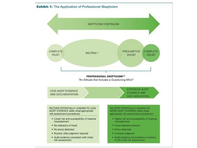 Professional scepticism judgment uia 2