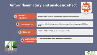 Professional Scientific Profile-Nervacin Cream.pdf