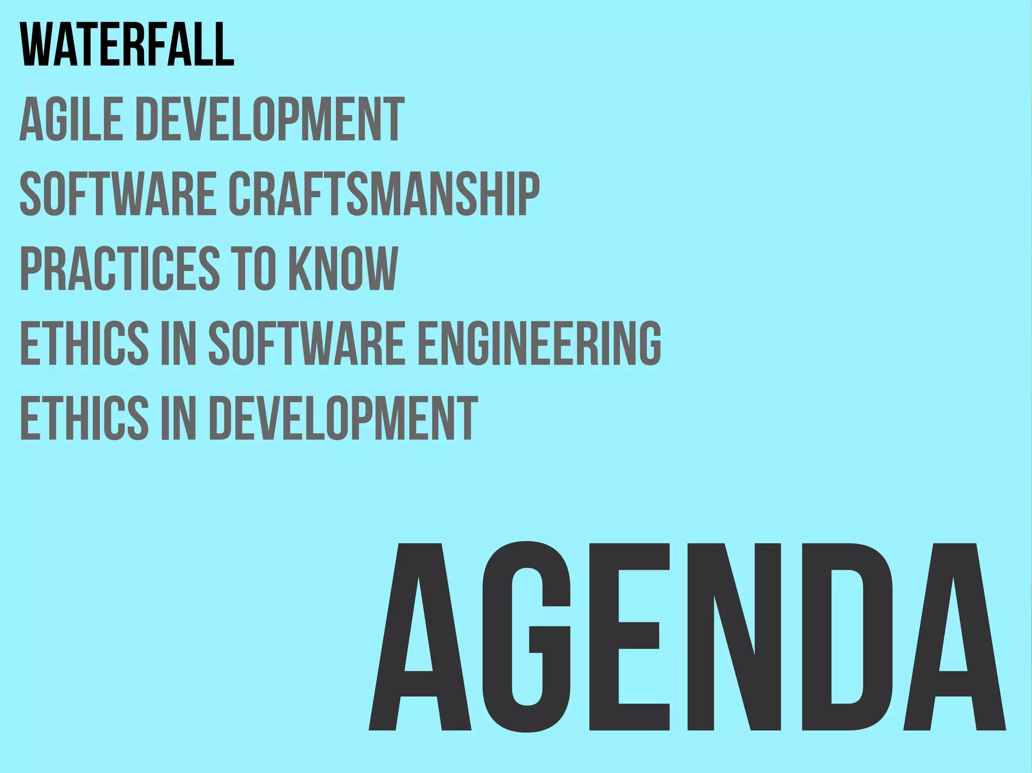 Professional Software Development, Practices and Ethics | PDF