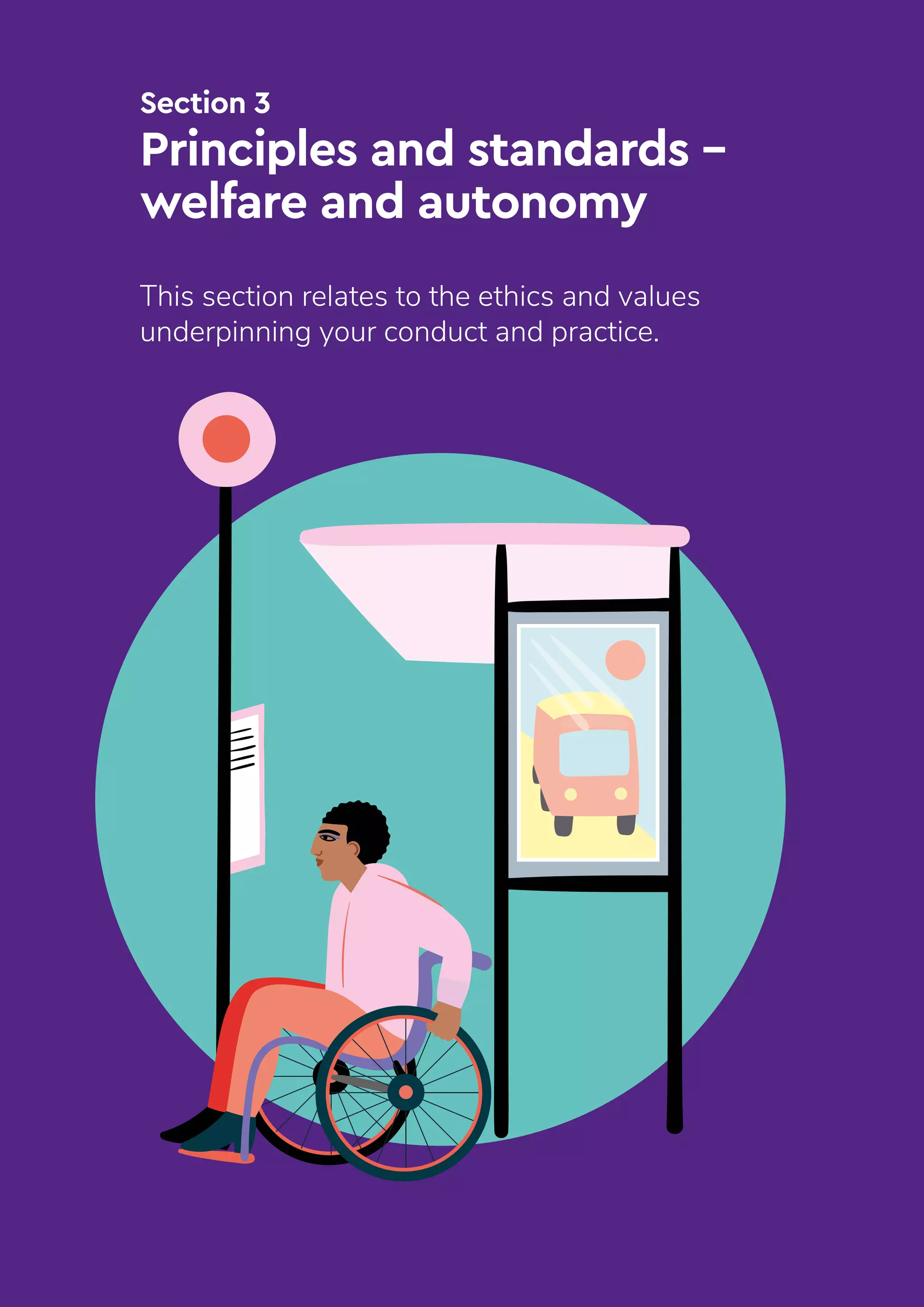 Professional Standards for Occupational Therapy Practice, Conduct and ...
