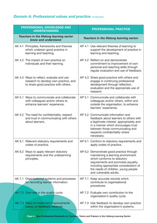 Professional Standards For Itts 020107 | PDF