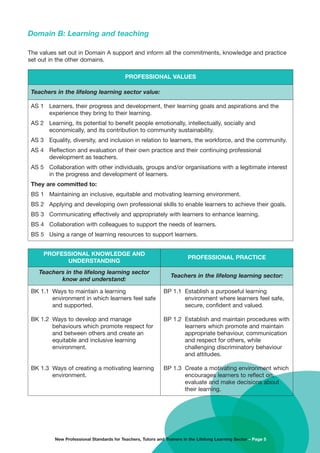 Professional Standards For Itts 020107 | PDF