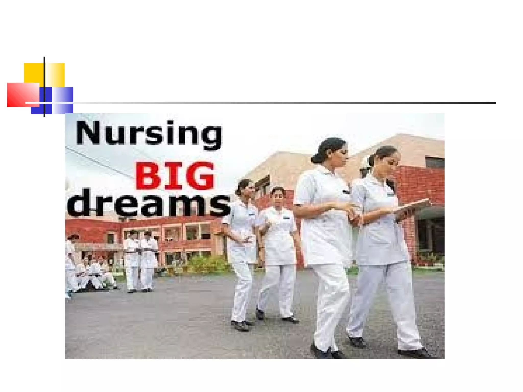 Professional standards in nursing | PPT