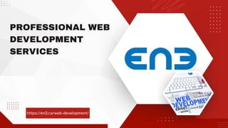 Are You Searching For Professional Web Development Services (2).pdf