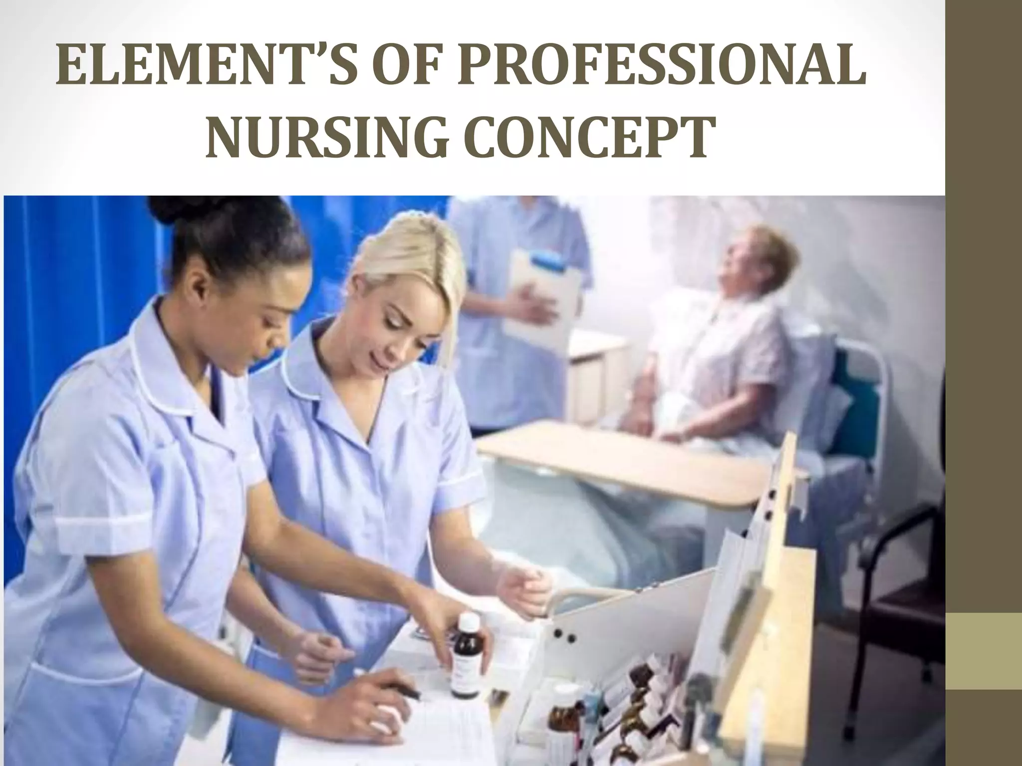 Professional Nursing Concept And Practic - Presented By Mohammed Haroon ...