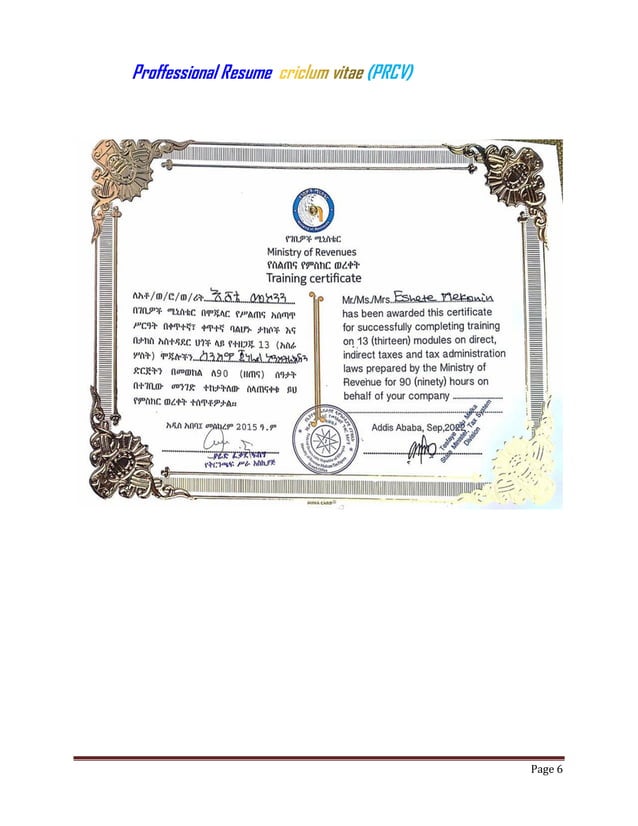 Proffessional Resume.pdf