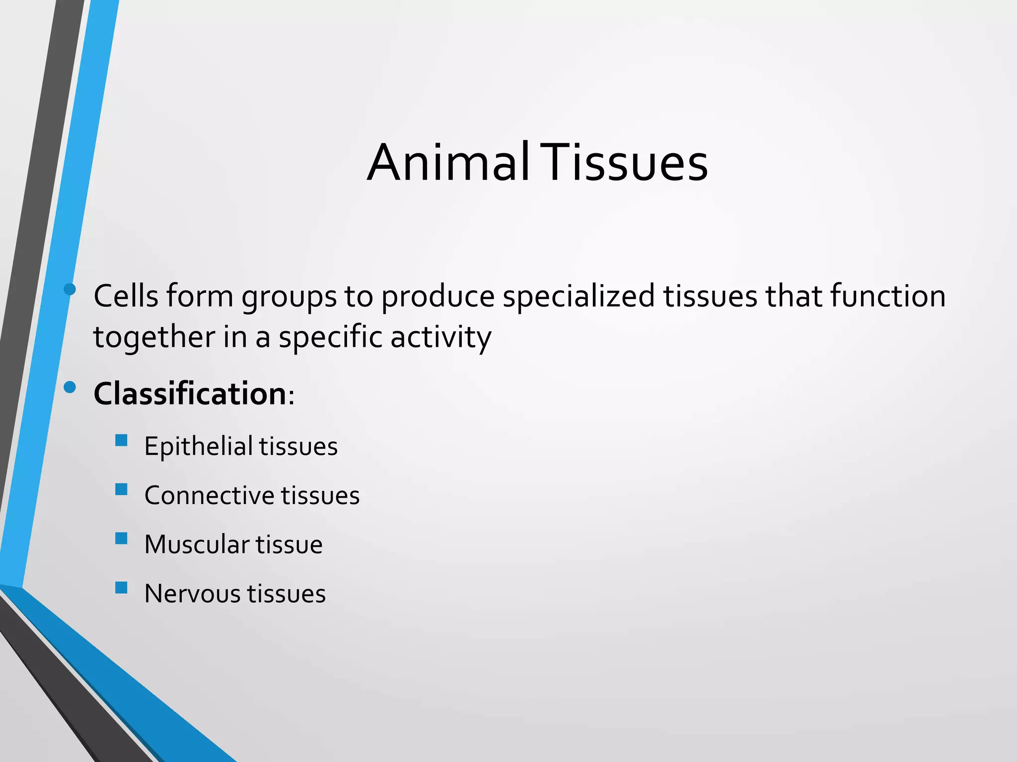 life sciences: animal tissue | PPTX