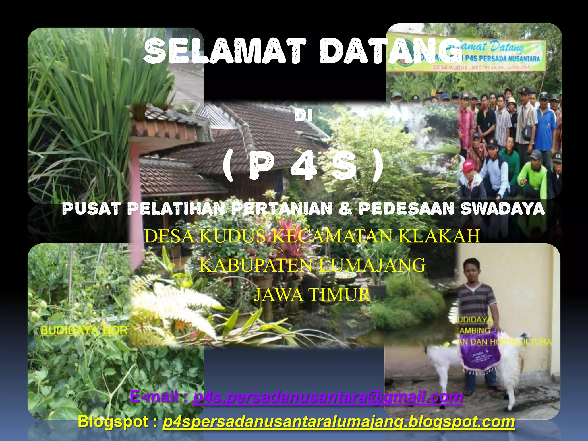 Profil P4S PERSADA NUSANTARA LUMAJANG | PPT