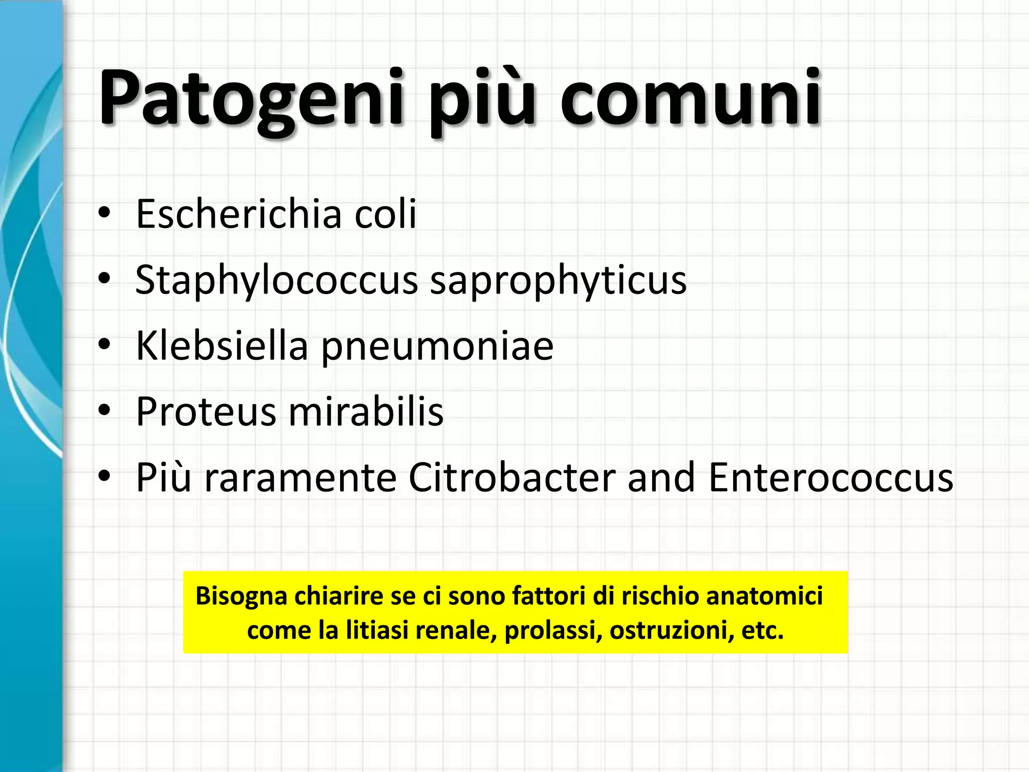 Profilassi delle ivu quando e come | PPT