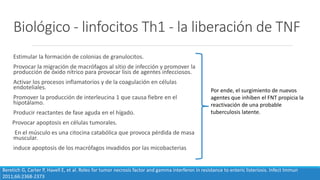 Profilaxis tuberculosis | PPTX