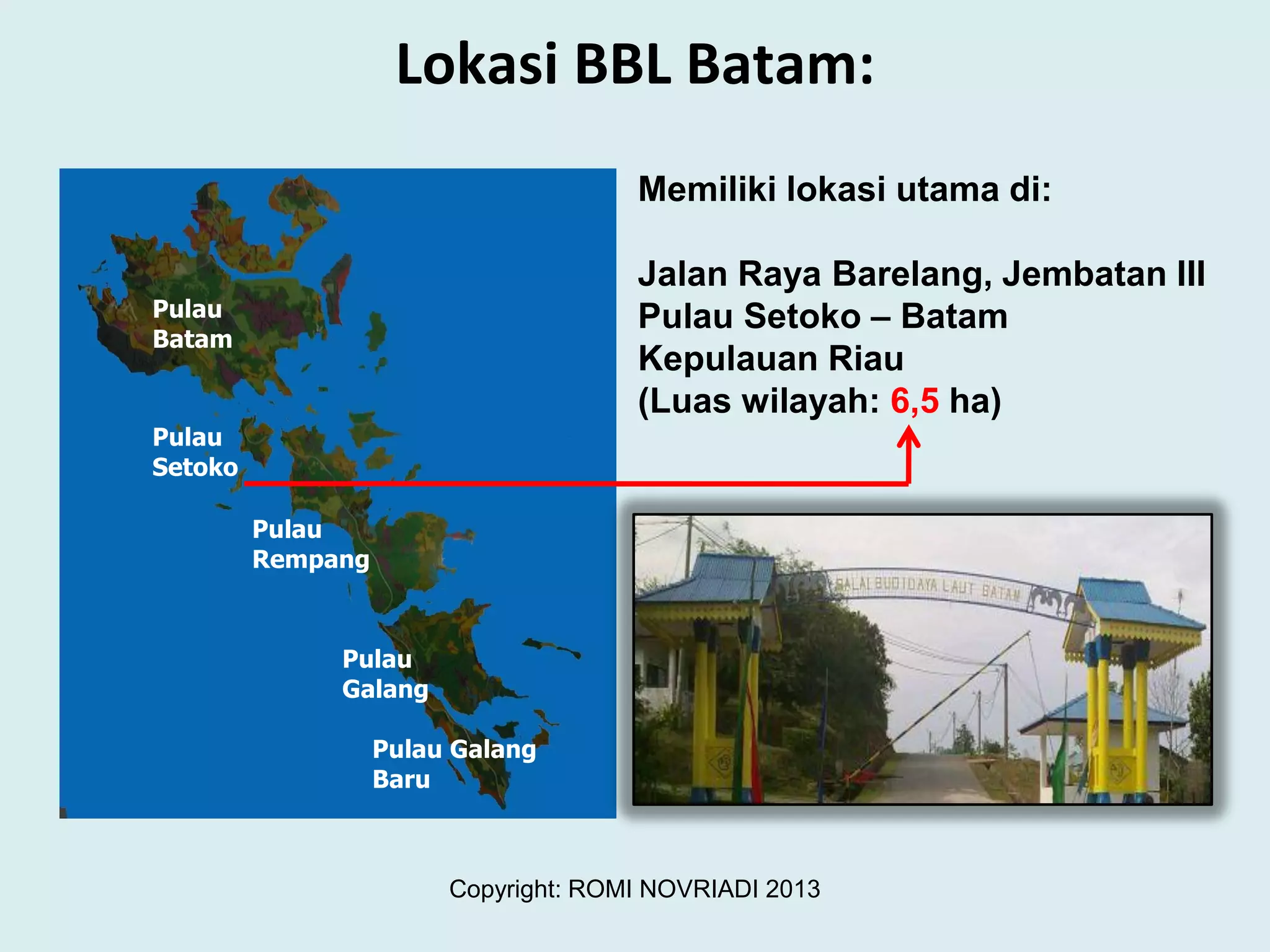 Profil bbl batam indonesia- | PDF