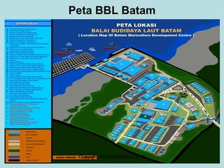 Profil bbl batam indonesia- | PDF
