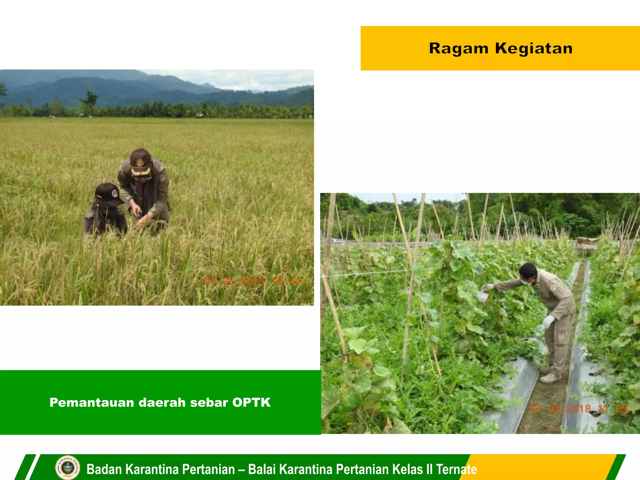 Profil bkp ternate | PPT