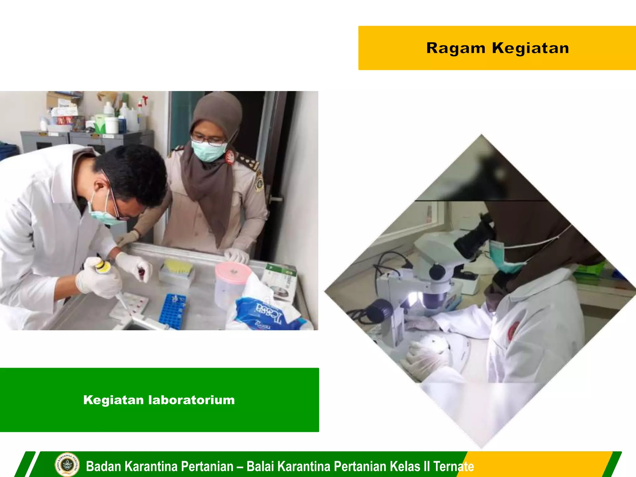 Profil bkp ternate | PPT