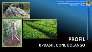 Profil bpdashl bone bolango | PPTX