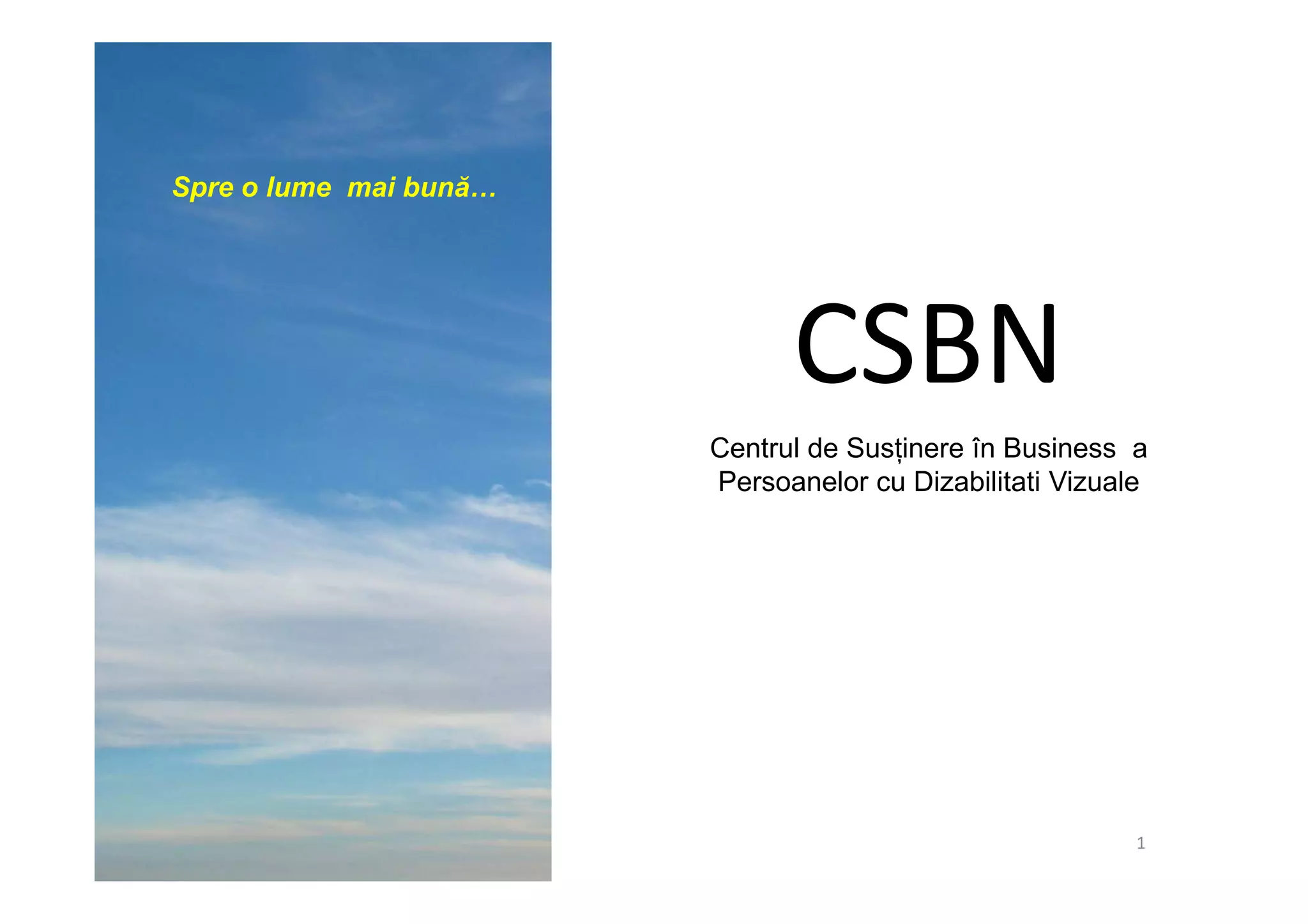 Profil Csbn 2011 | PDF