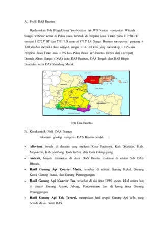 Profil das brantas | DOCX