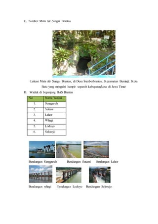 Profil das brantas | DOCX