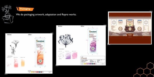 Profile honeycomb creative support | PPT