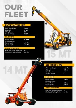 AadiShakti Projects ( Asp Cranes ) Raipur | PDF